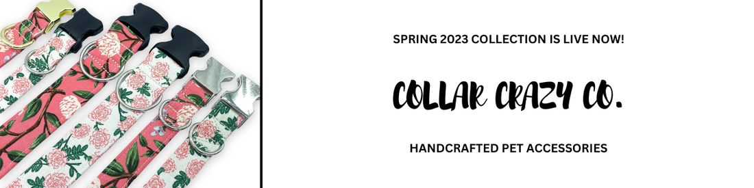 Handcrafted Pet Accessories - Personalized Dog Collars – Collar Crazy Co.